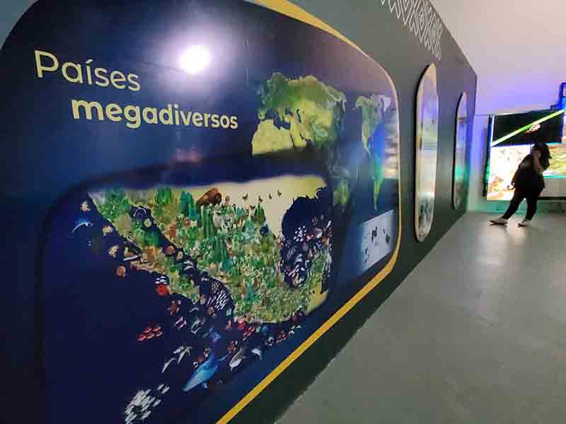 nauguran nueva museografía en el MUCH - Diario de Chiapas