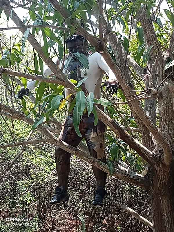 ¡Cadáver putrefacto! - Diario de Chiapas