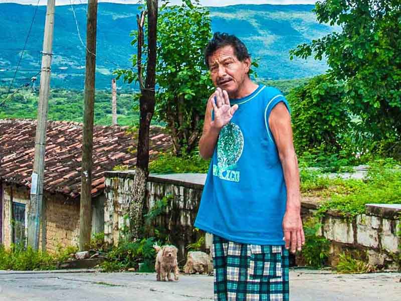 La Saula, Reina de San Gregorio - Diario de Chiapas