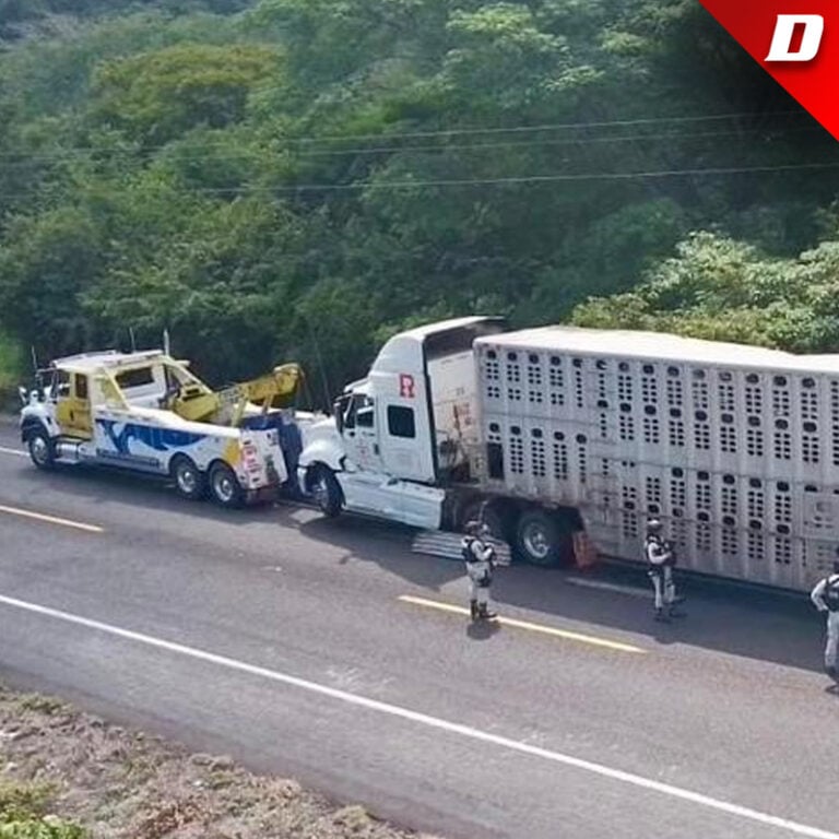 Vuelca camión con ganado - Diario de Chiapas