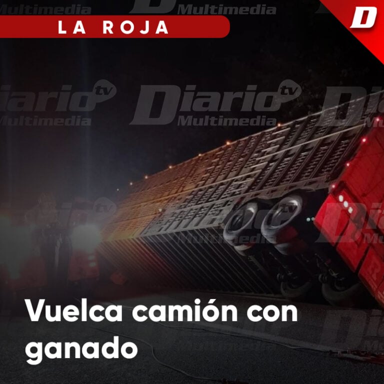 Vuelca camión con ganado - Diario de Chiapas