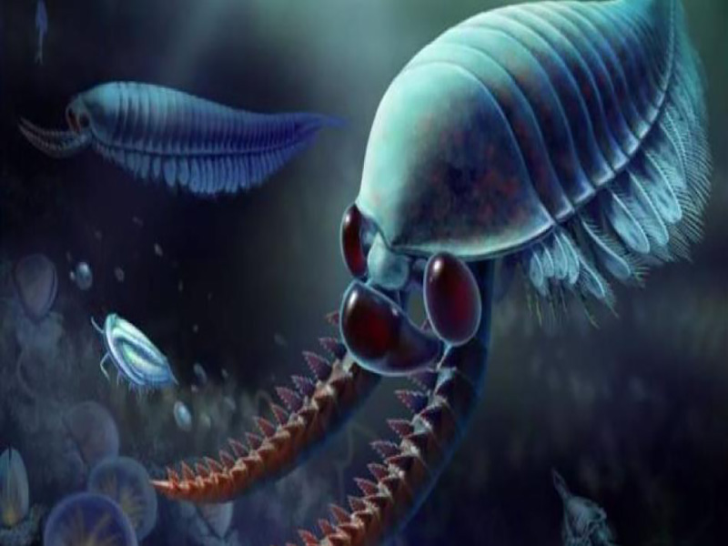 Un ancestro con tres ojos de los crustáceos rellena brecha evolutiva ...