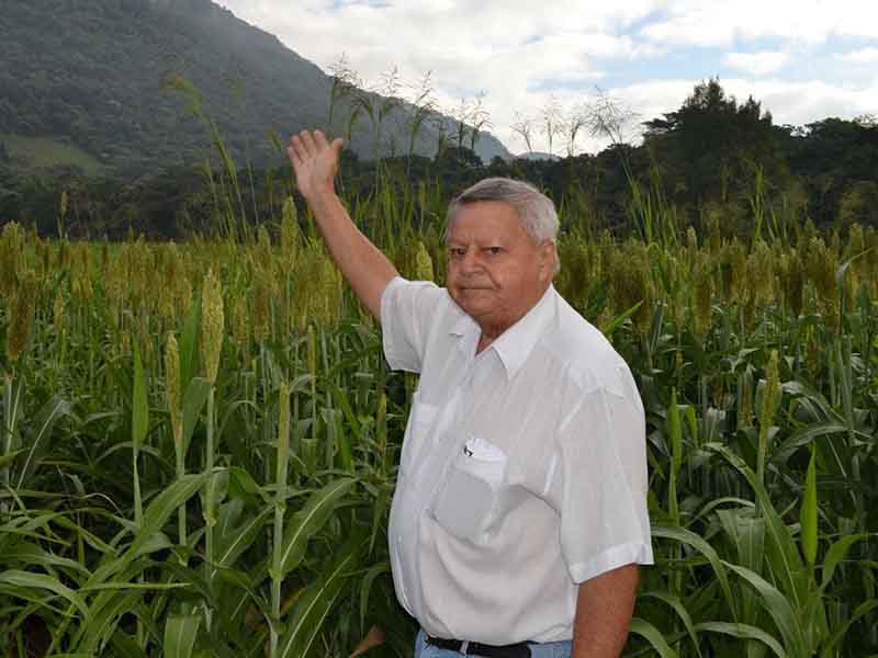 Fallece el Maestro Germán Jiménez - Diario de Chiapas