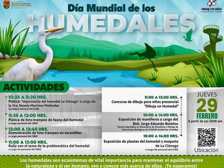 Actividades sobre humedales - Diario de Chiapas