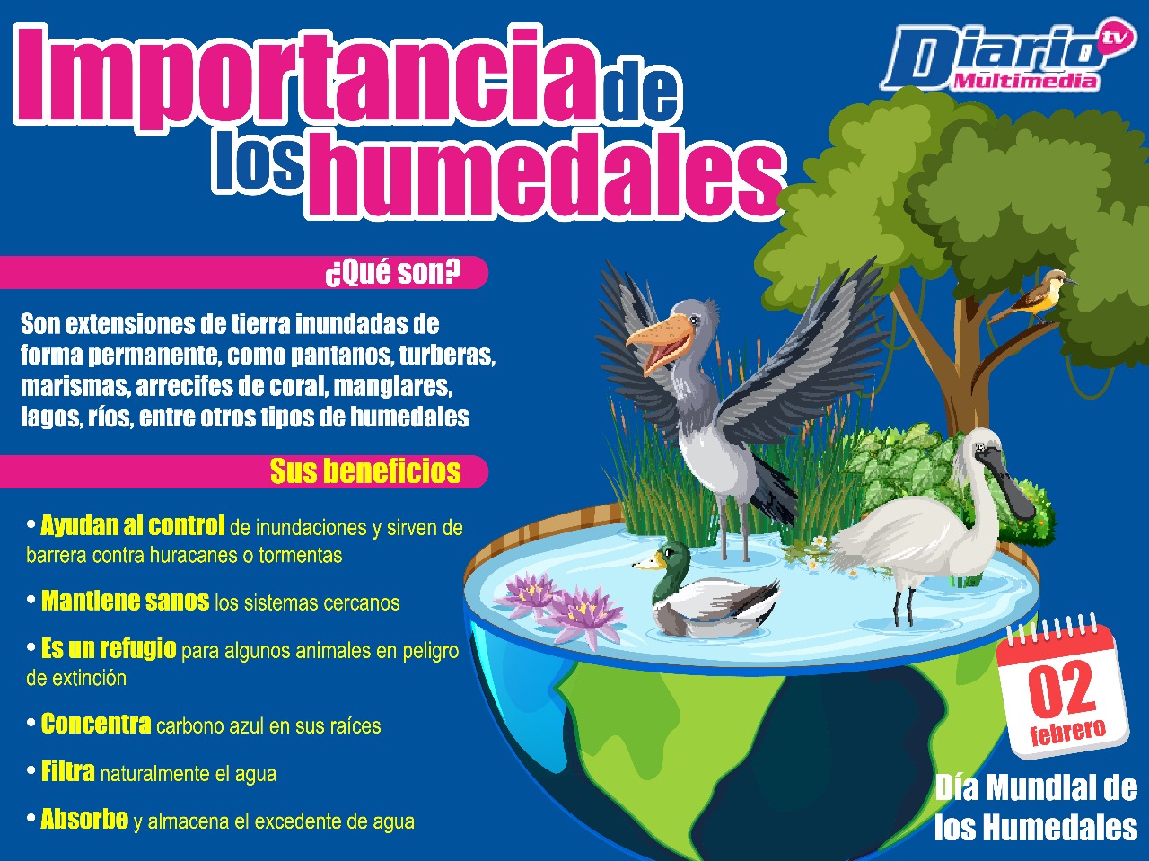 Importancia de los humedales - Diario de Chiapas