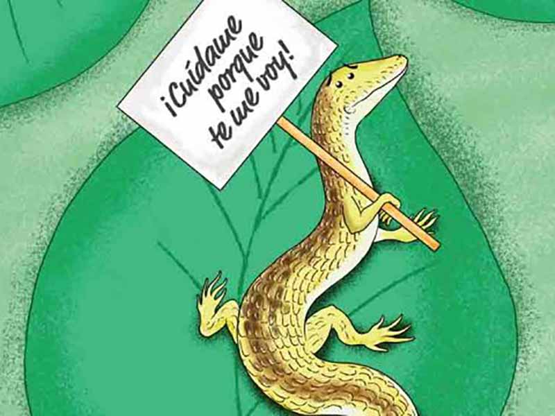 Nueva especie de lagartija en Coapilla - Diario de Chiapas