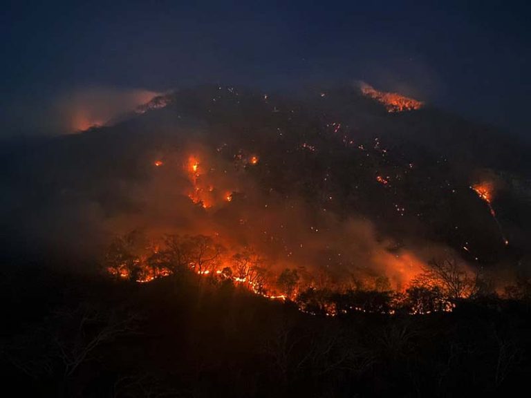 Arde el Mactumatzá; humo, irrita - Diario de Chiapas