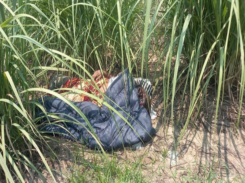 ¡Cadáver putrefacto! - Diario de Chiapas