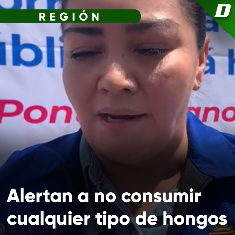 Alertan a no consumir cualquier tipo de hongos - Diario de Chiapas
