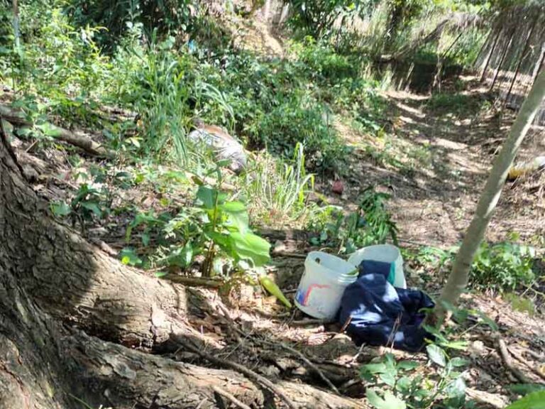 ¡Cadáver putrefacto! - Diario de Chiapas