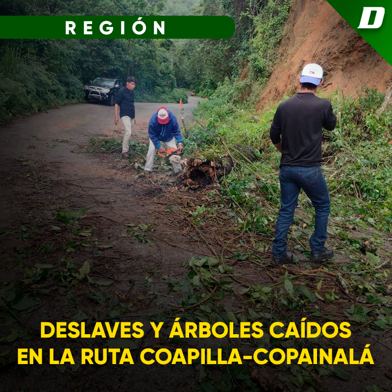 Deslaves y árboles caídos en la ruta Coapilla-Copainalá - Diario de Chiapas