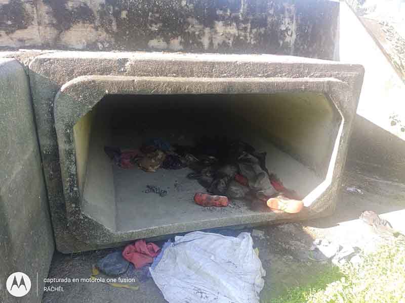¡Cadáver putrefacto! - Diario de Chiapas