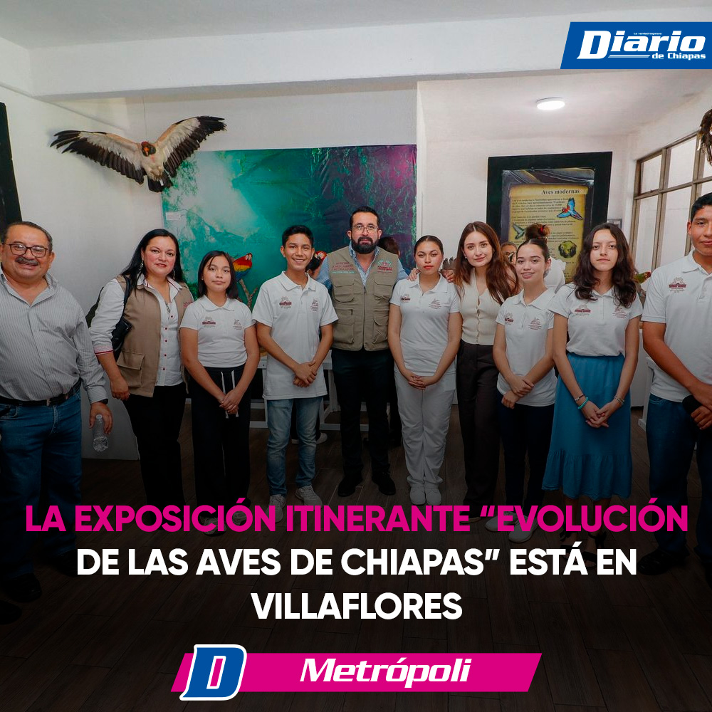 La exposición itinerante “Evolución de las Aves de Chiapas” está en ...