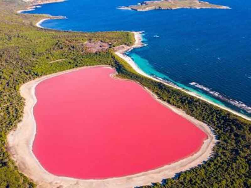 El lago rosa que parece sacado de una fantasía - Diario de Chiapas
