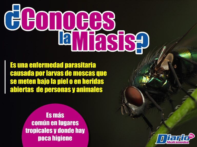 ¿Conoces la miasis? - Diario de Chiapas