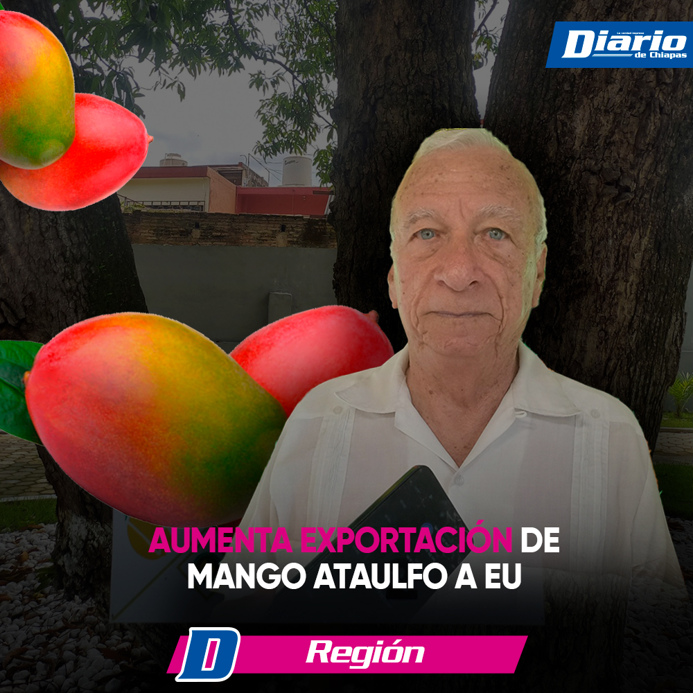 Aumenta exportación de mango Ataulfo a EU - Diario de Chiapas