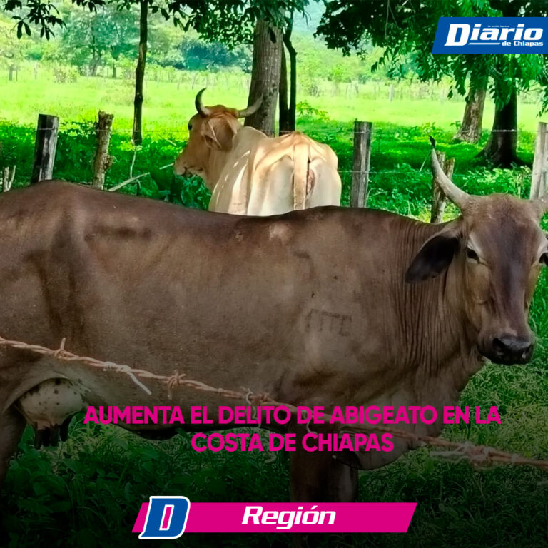 Aumenta el delito de abigeato en la Costa de Chiapas - Diario de Chiapas