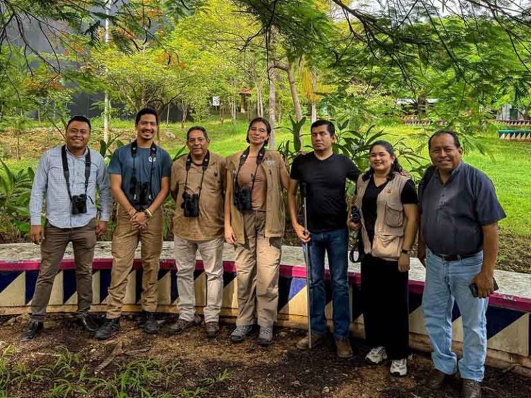 Nueva “pajareada” en el MUCH - Diario de Chiapas