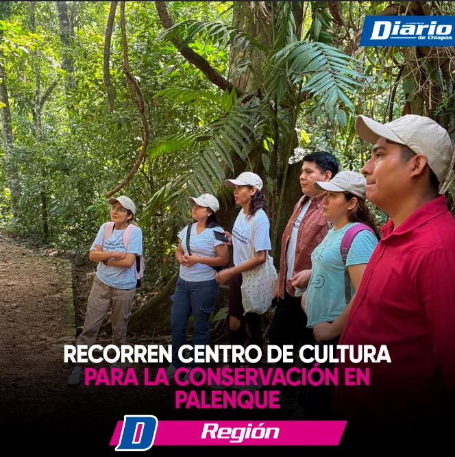 Recorren Centro de Cultura para la Conservación en Palenque - Diario de ...