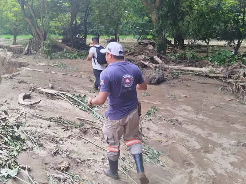 Afectaciones en tres municipios por lluvias - Diario de Chiapas