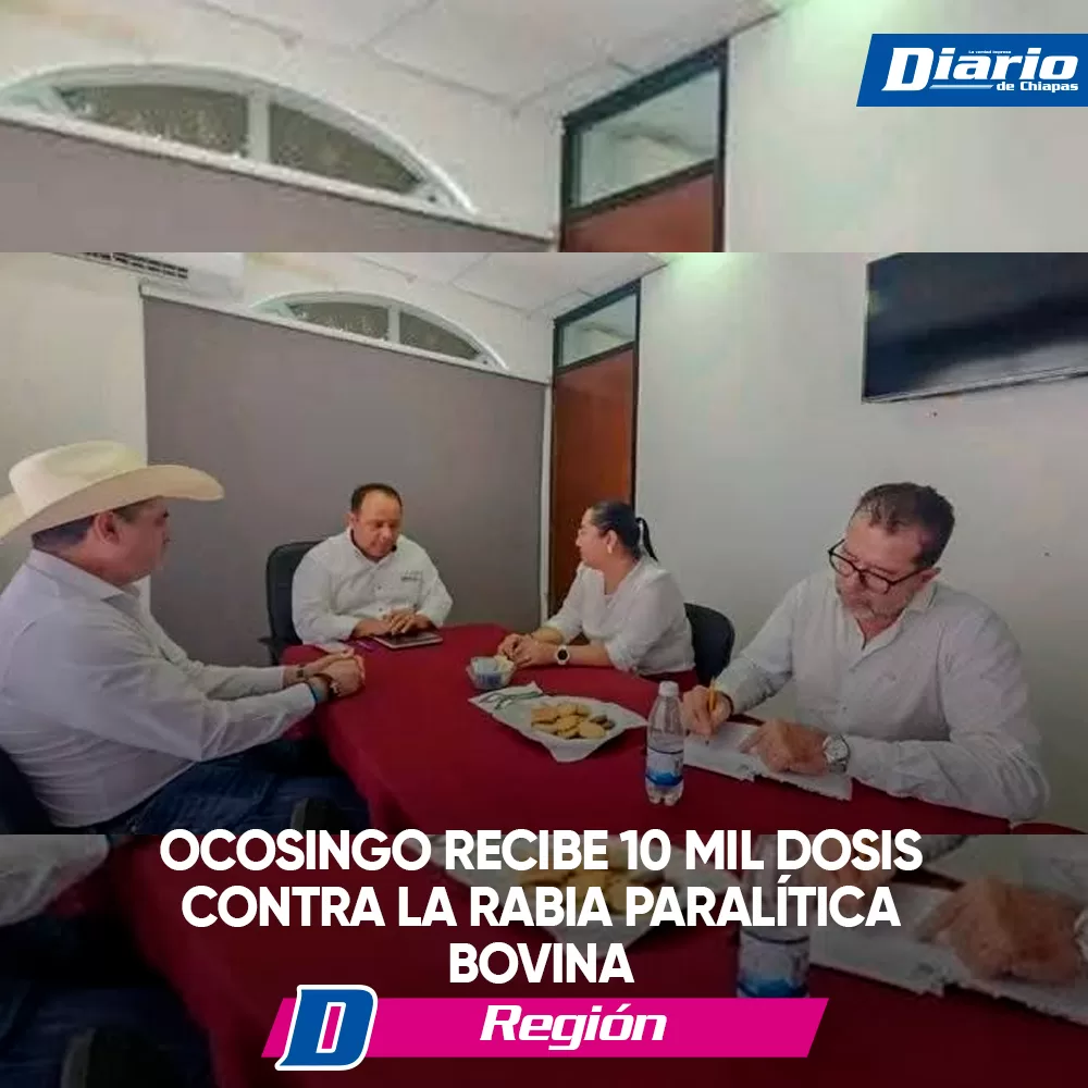 Ocosingo recibe 10 mil dosis contra la rabia paralítica bovina - Diario ...