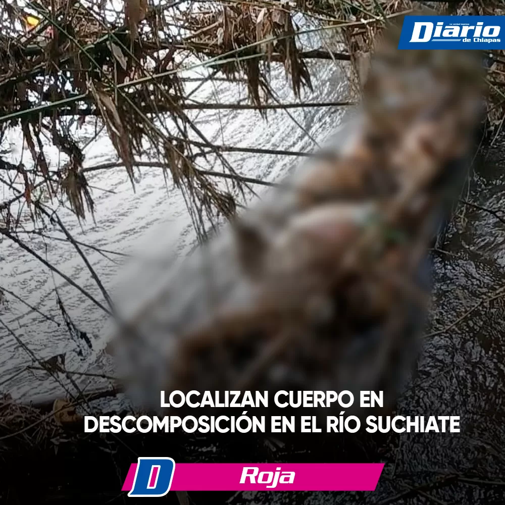 Localizan cuerpo en descomposición en el río Suchiate - Diario de Chiapas