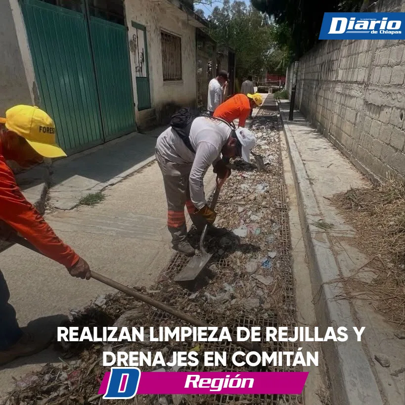 Realizan limpieza de rejillas y drenajes en Comitán - Diario de Chiapas