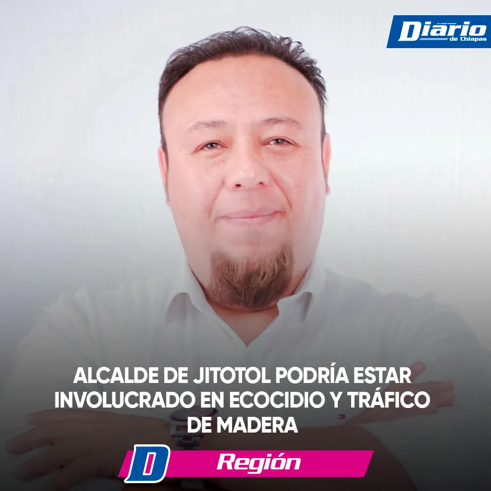 Alcalde de Jitotol podría estar involucrado en ecocidio y tráfico de ...