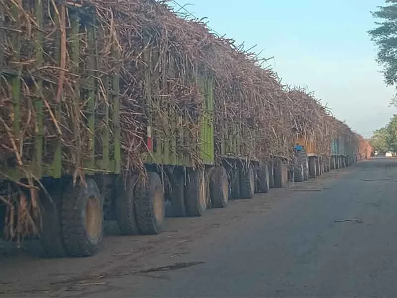 Termina zafra en Huixtla - Diario de Chiapas