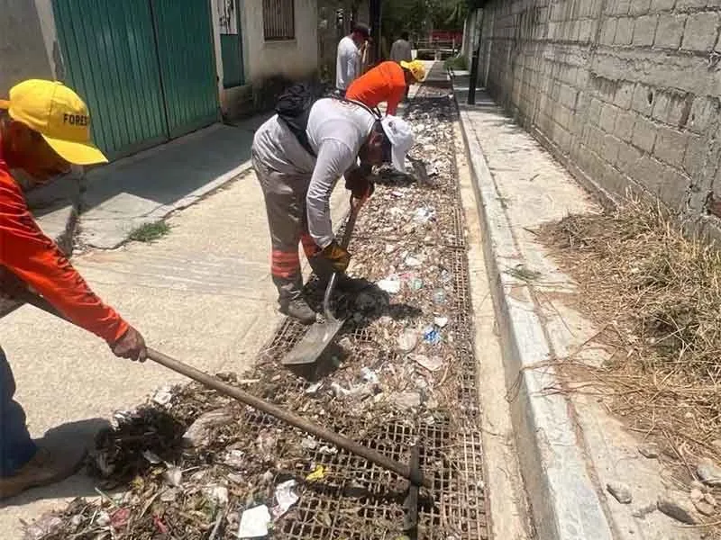 Limpian rejillas y drenajes en Comitán - Diario de Chiapas