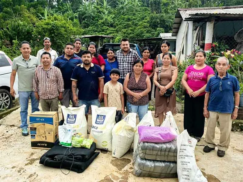 Impulsan semilleros viveros de café - Diario de Chiapas