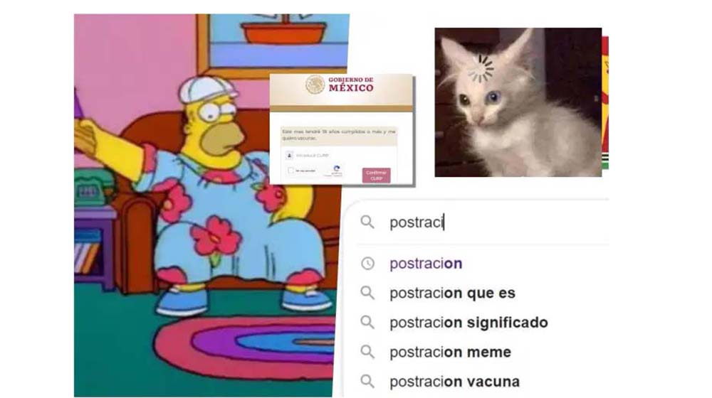 Postración: ¿Qué es y por qué se viralizó en redes sociales? - Diario ...